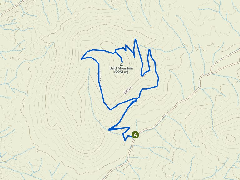 Bald Mountain Trail loop — San Isabel National Forest | hike | Komoot